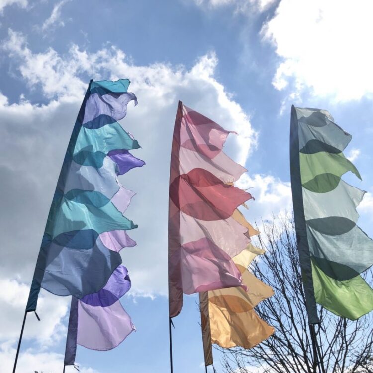 Festival Flags - Seher Flags